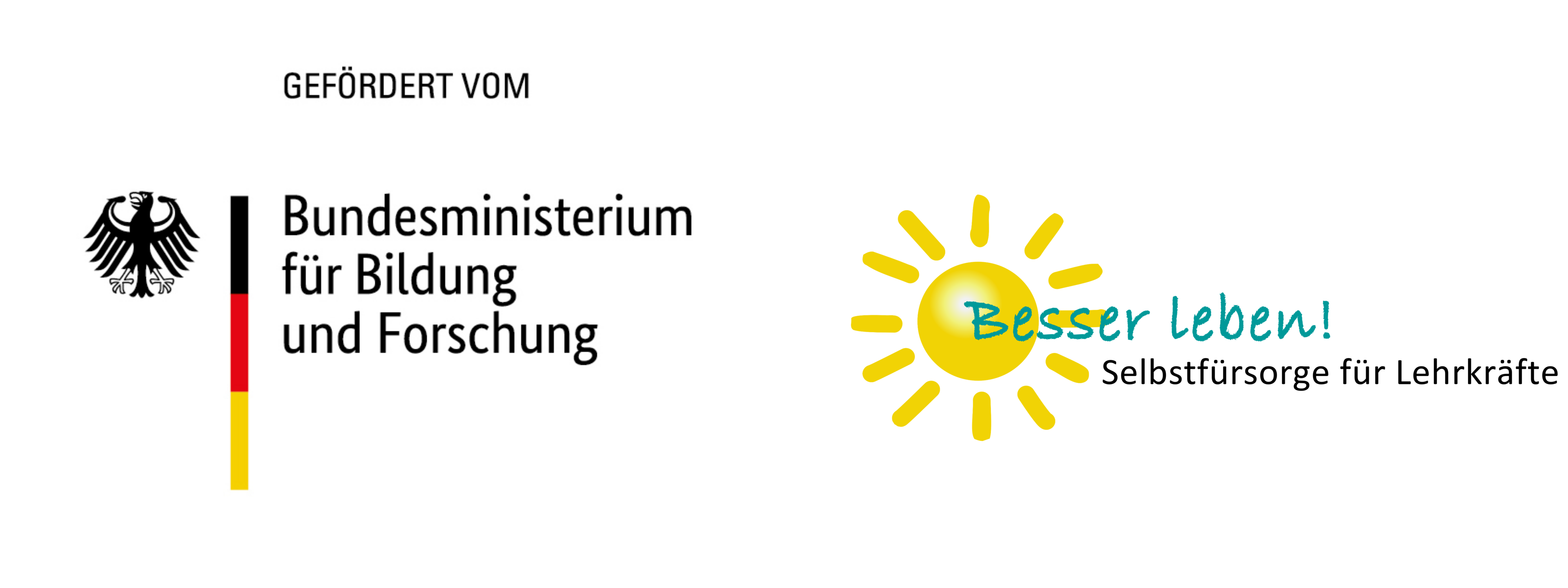 BMBF + BLLK-Logo kombiniert u. bündig - zepf